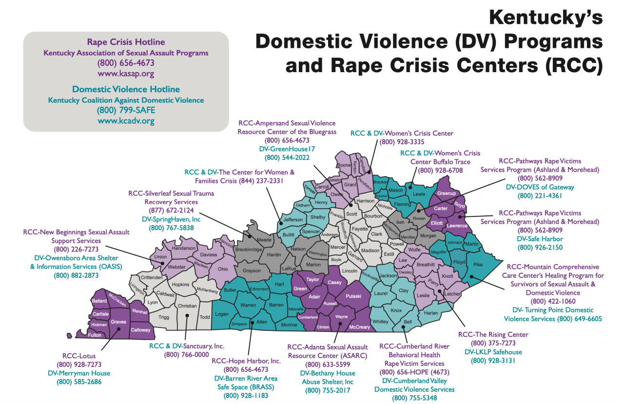 Emergency Protective Orders - Sanctuary, Inc.